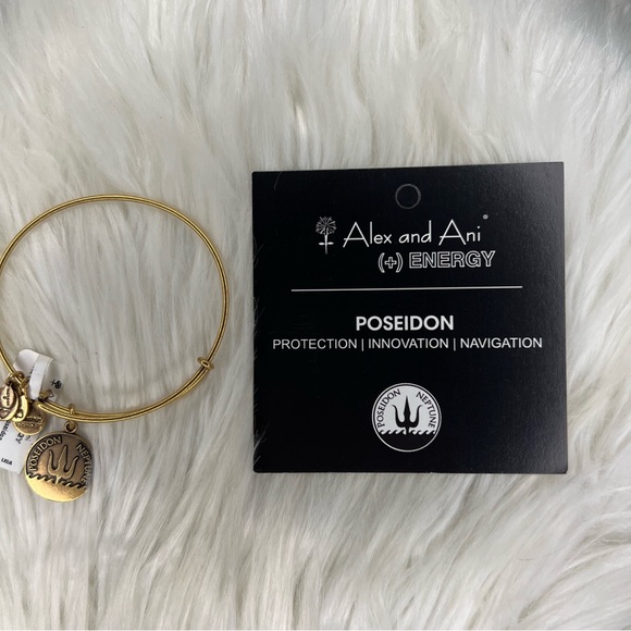Alex and Ani | Jewelry | Alex And Ani Poseidon Neptune Rafaelian Gold ...